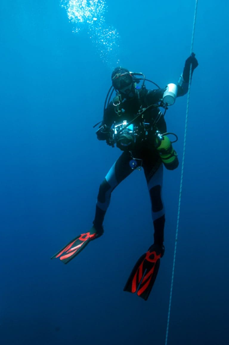 A diver diving in the Atlantic Ocean off Peniche during a Haliotis-led ...