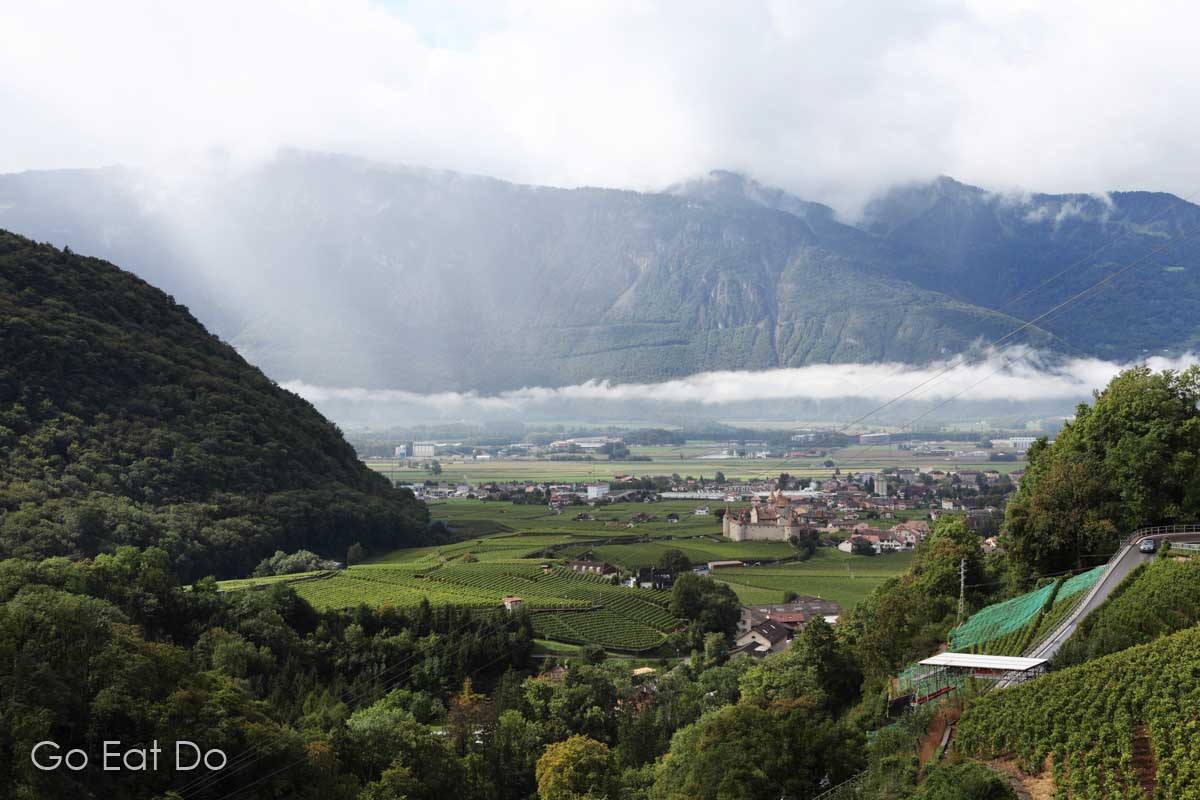 Vineyards in the Rhone Valley near Villars-sur-Ollon, Switzerland. The ...